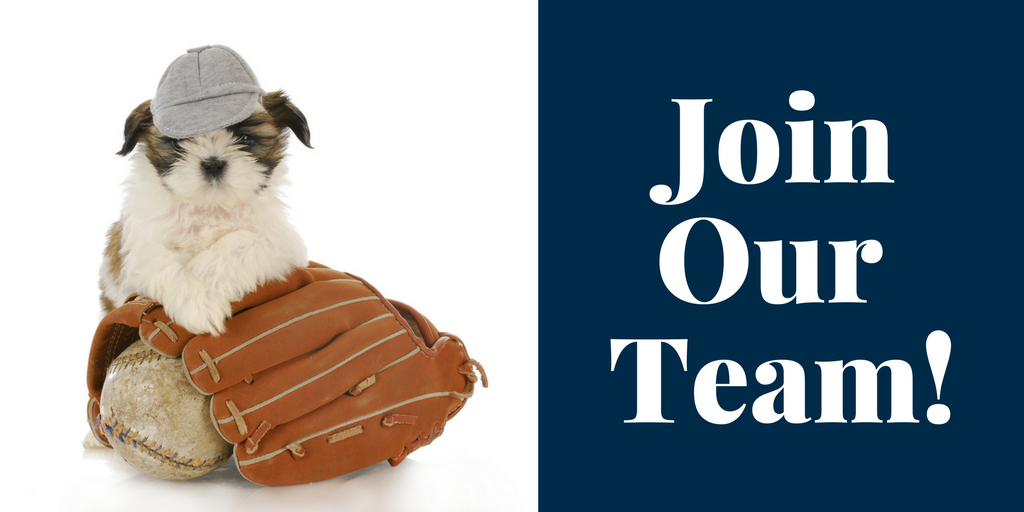 Join Our Team baseball dog image - Dog, Cat, Pet Adoption, Animal ...