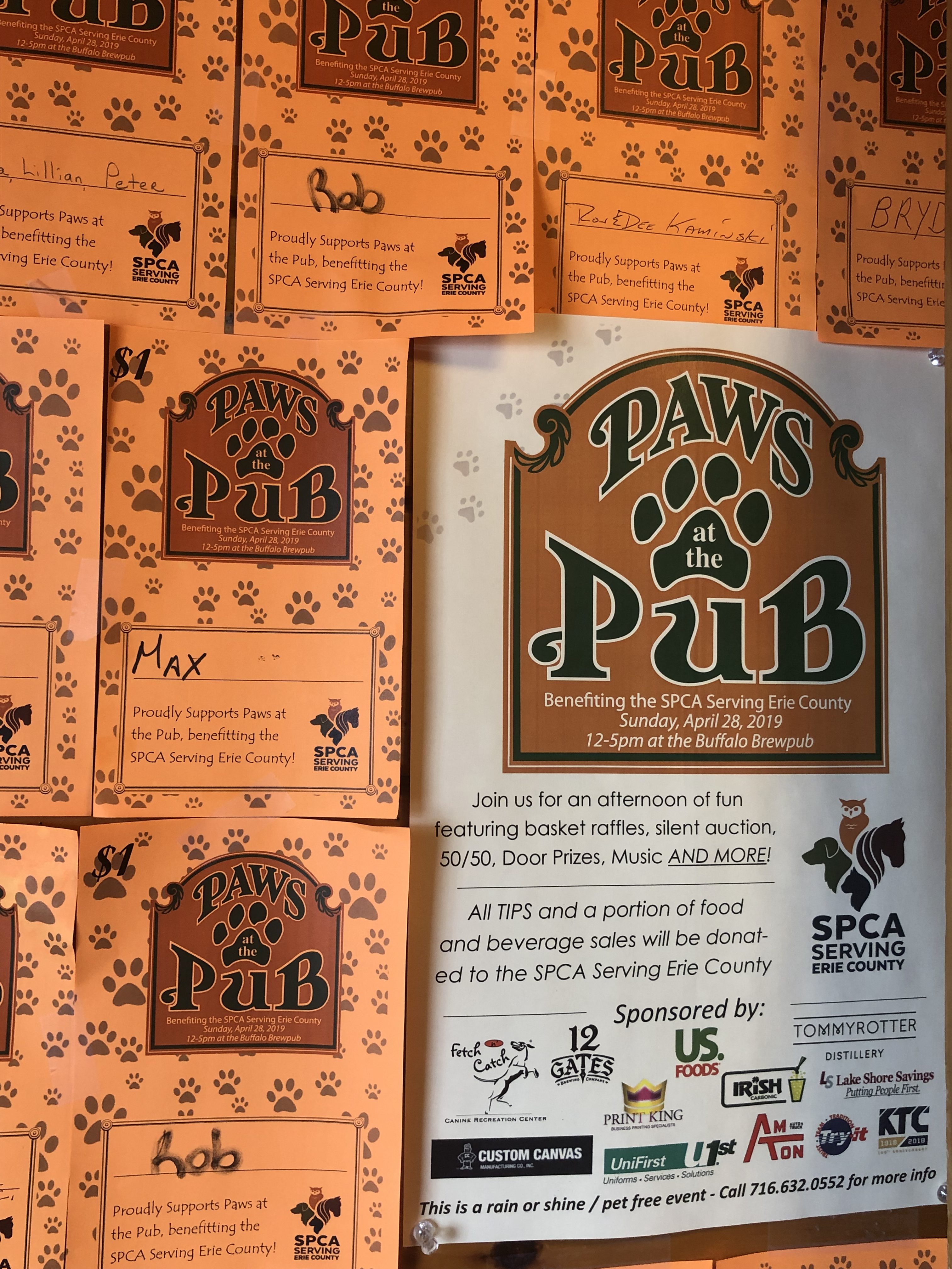 Paws at the Pub - Dog, Cat, Pet Adoption, Animal Shelter in Buffalo