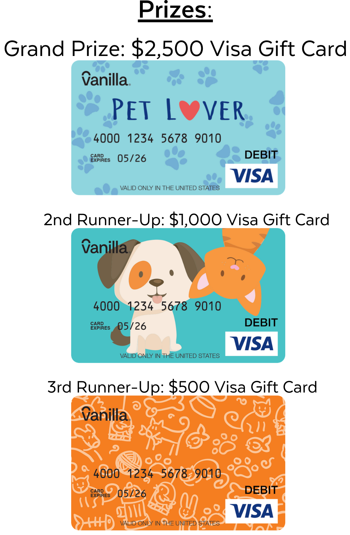 Visa card - Dog, Cat, Pet Adoption, Animal Shelter in Buffalo