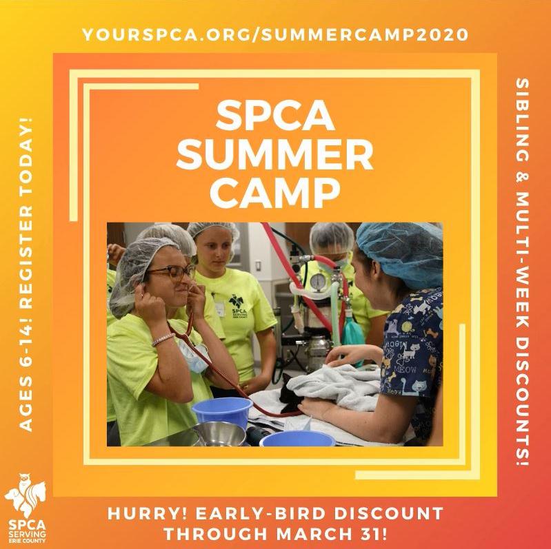 SPCA Summer Camp 2020 - Dog, Cat, Pet Adoption, Animal Shelter in Buffalo