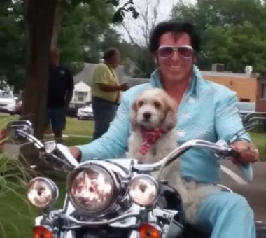 Terry Buchwald as Elvis to Benefit the SPCA 2022 - Dog, Cat, Pet ...
