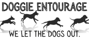 Doggie Entourage - Dog, Cat, Pet Adoption, Animal Shelter in Buffalo