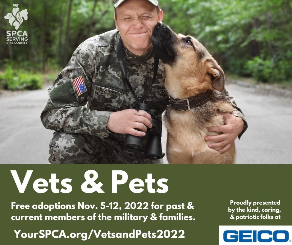 Free Adoptions for Veterans - Dog, Cat, Pet Adoption, Animal Shelter in ...